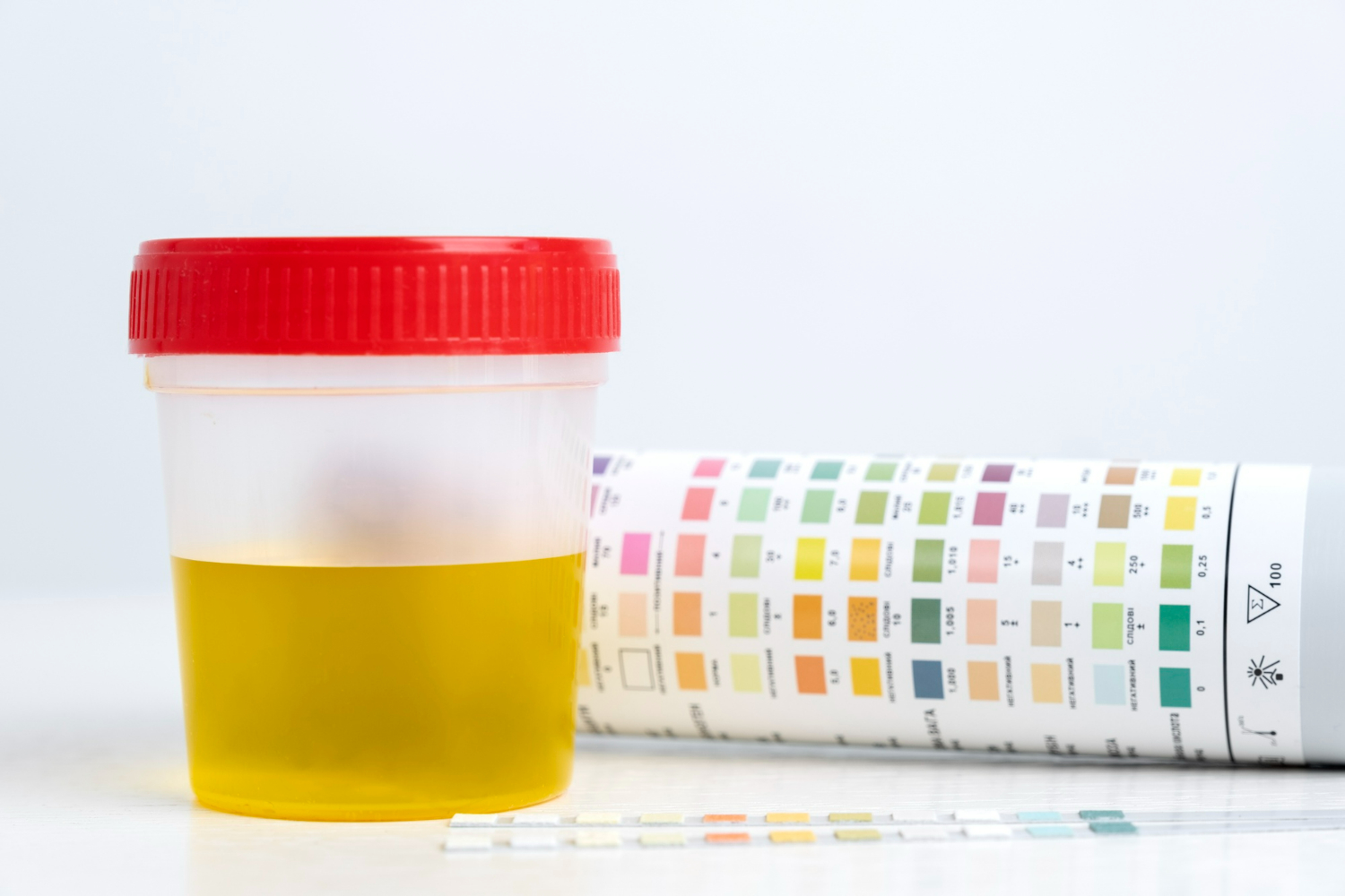 Gram stain test procedure: 10 Essential Tips for Success
